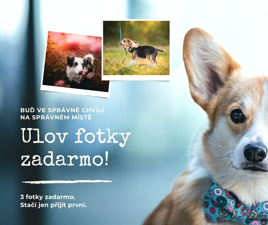 Ulov fotky zadarmo - mrackova.com